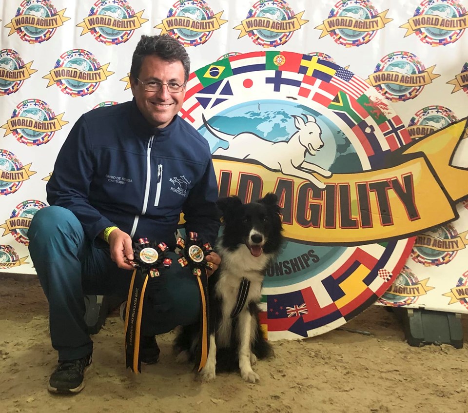 Participação portuguesa no World Agility Open – dogs-ptmagazine