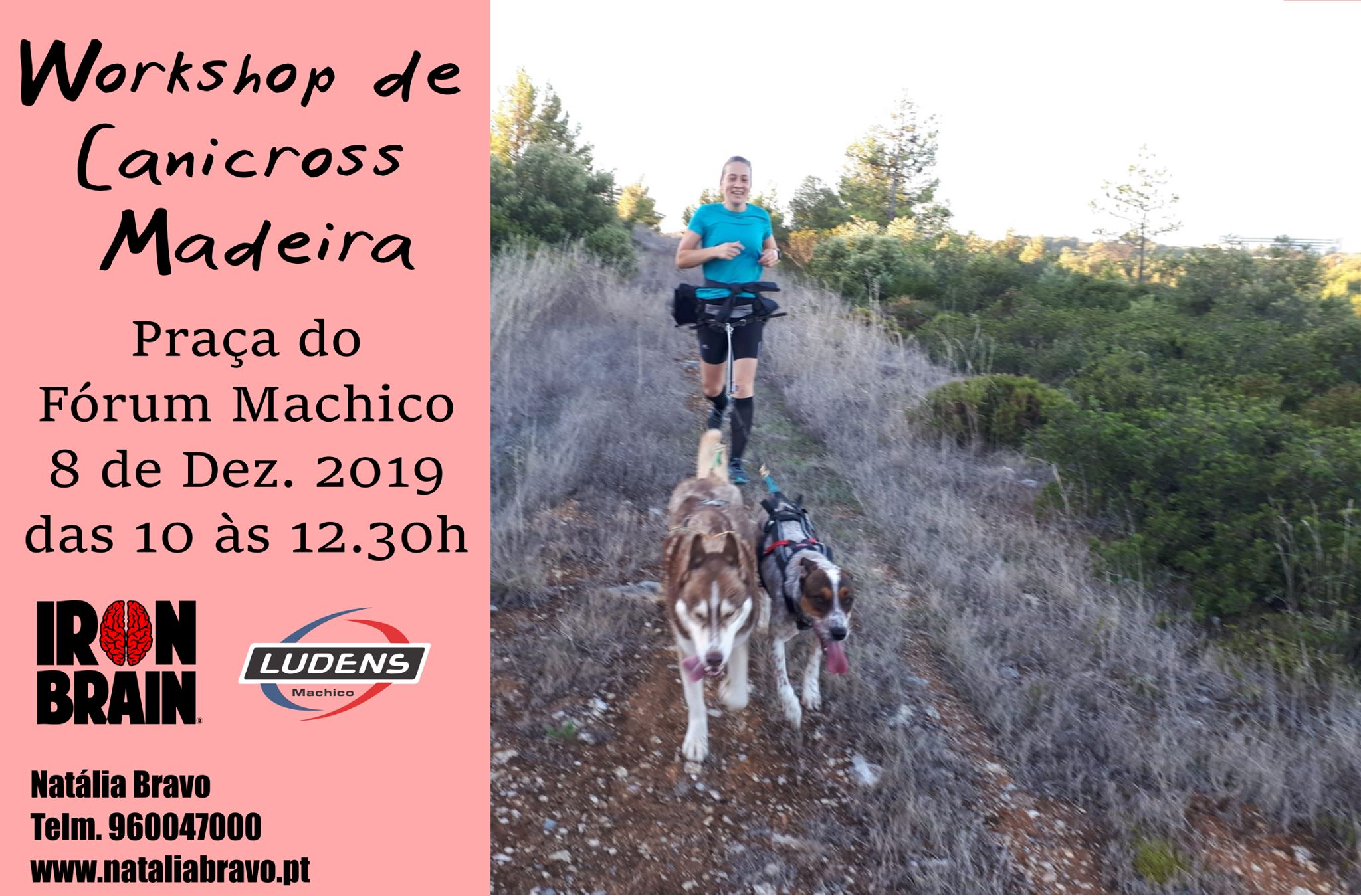 Madeira – dogs-ptmagazine