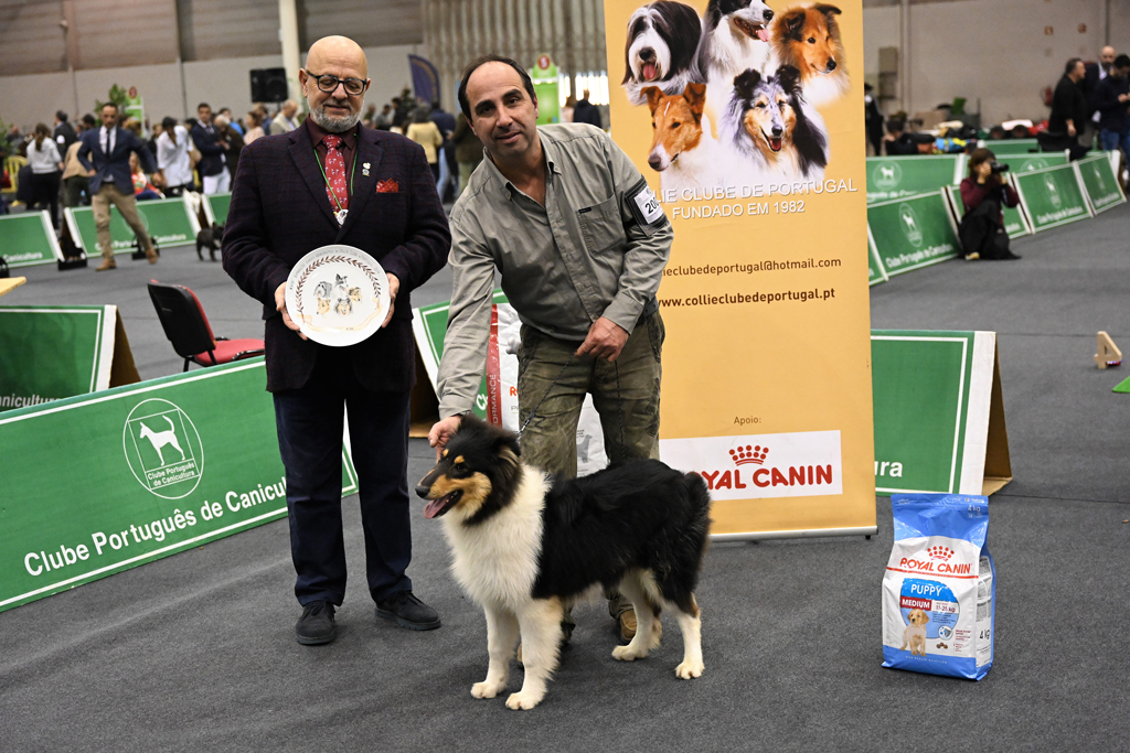 24ª Exposição Canina Monográfica do Collie Clube de Portugal – dogs ...