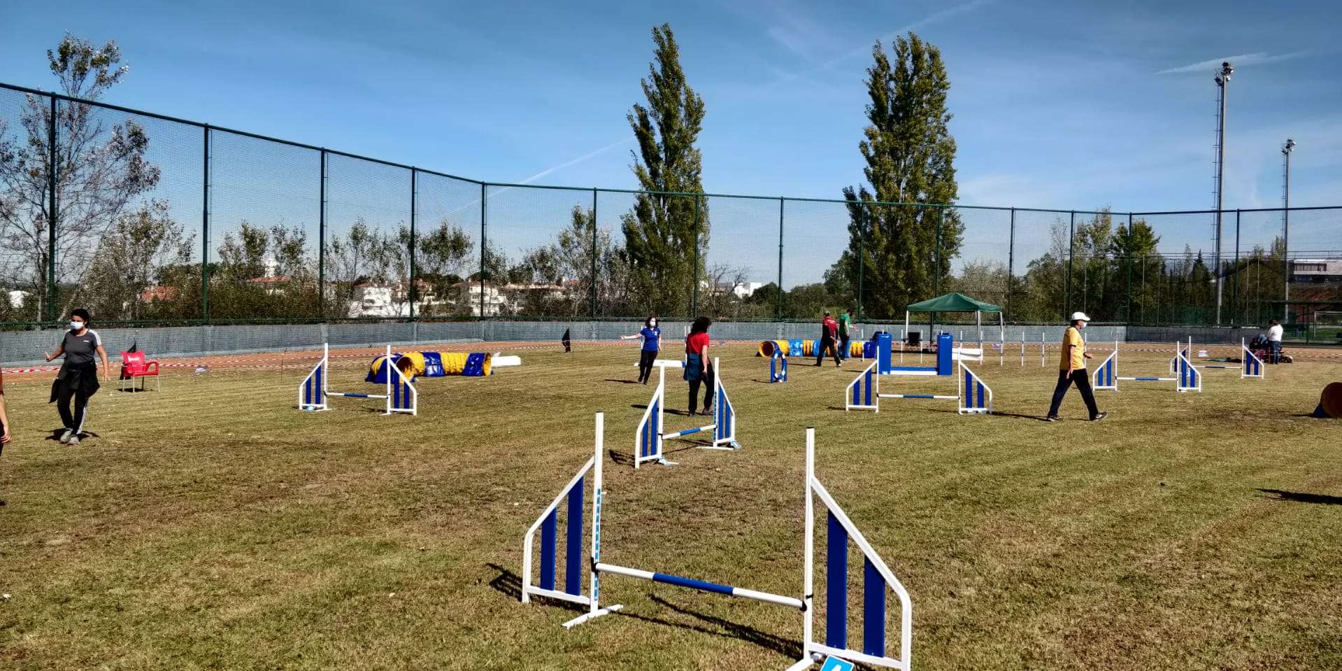 5ª e 6ª Prova do Campeonato Nacional de Agility – dogs-ptmagazine