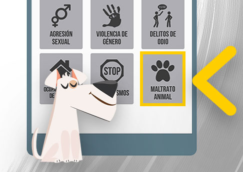 Espanha | App permite denunciar situações de maus-tratos com um clique ...