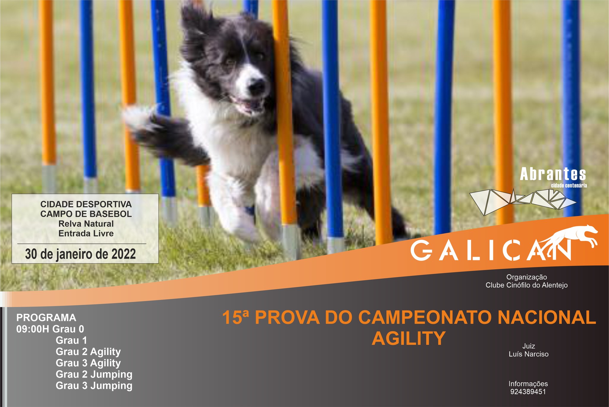 15ª Prova do Campeonato Nacional de Agility – dogs-ptmagazine