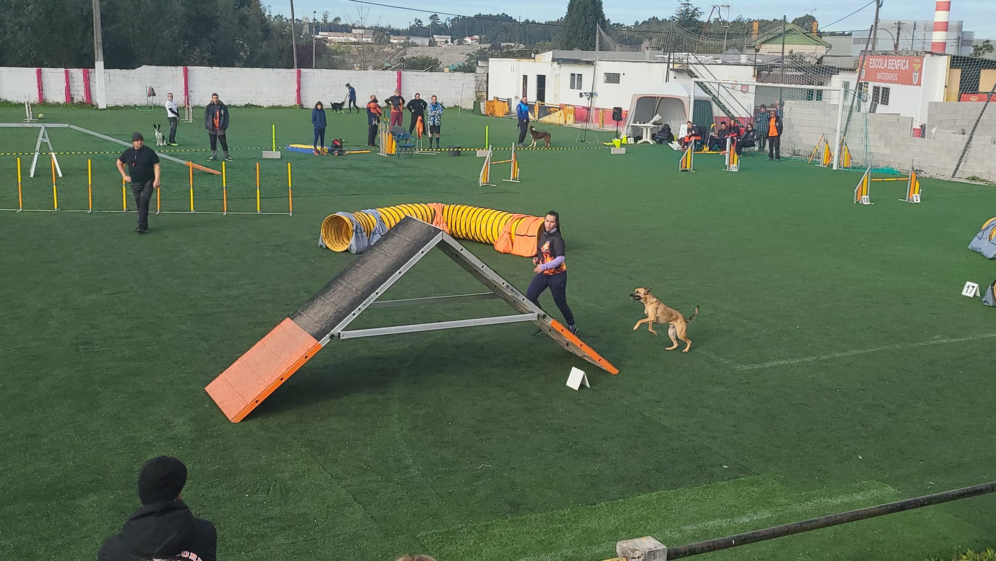 24ª e 25ª Provas do Campeonato Nacional de Agility – dogs-ptmagazine