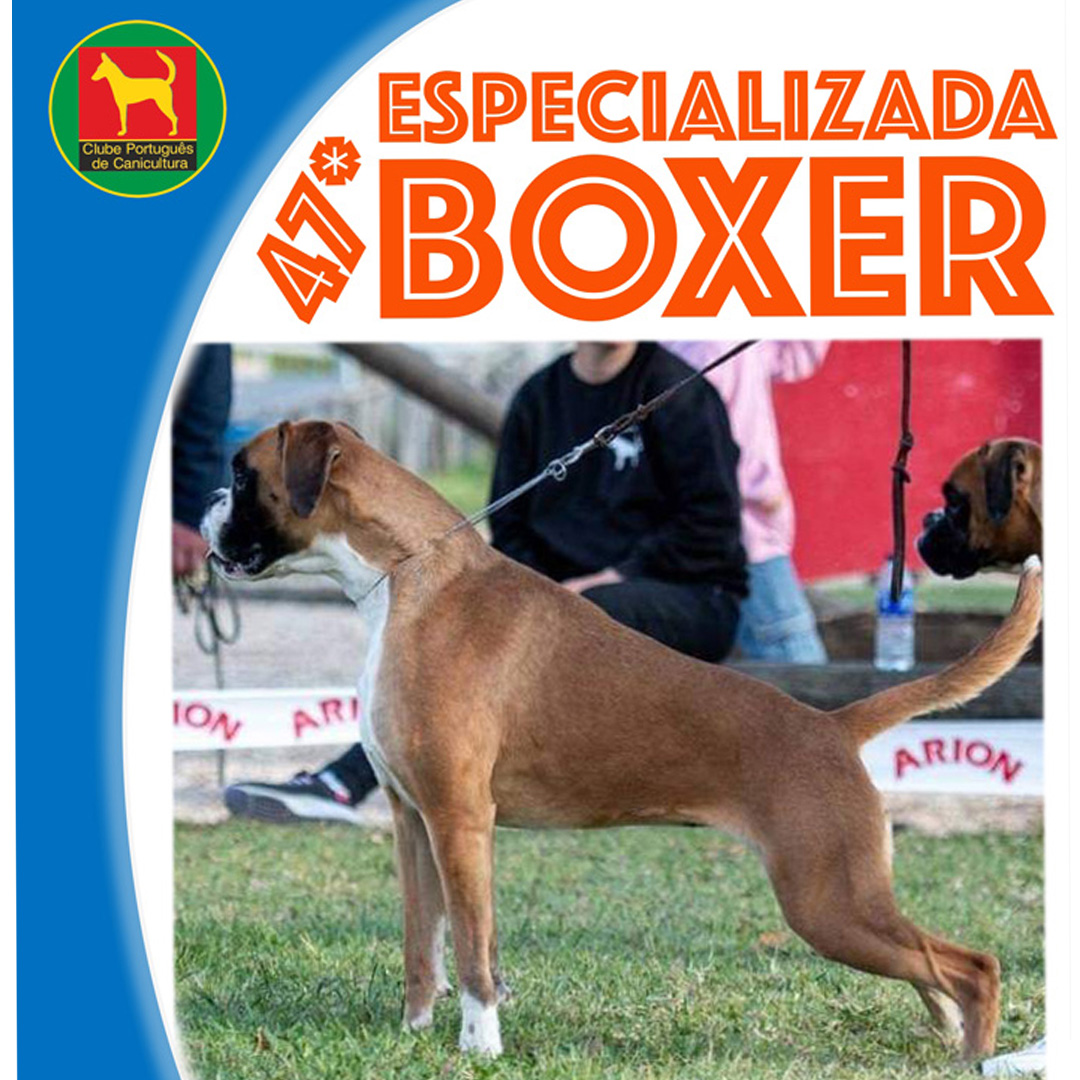 47.ª Especializada Boxer – dogs-ptmagazine