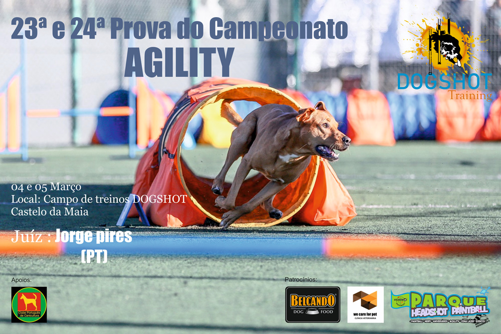 23.ª e 24.ª Prova do Campeonato Nacional de Agility – dogs-ptmagazine