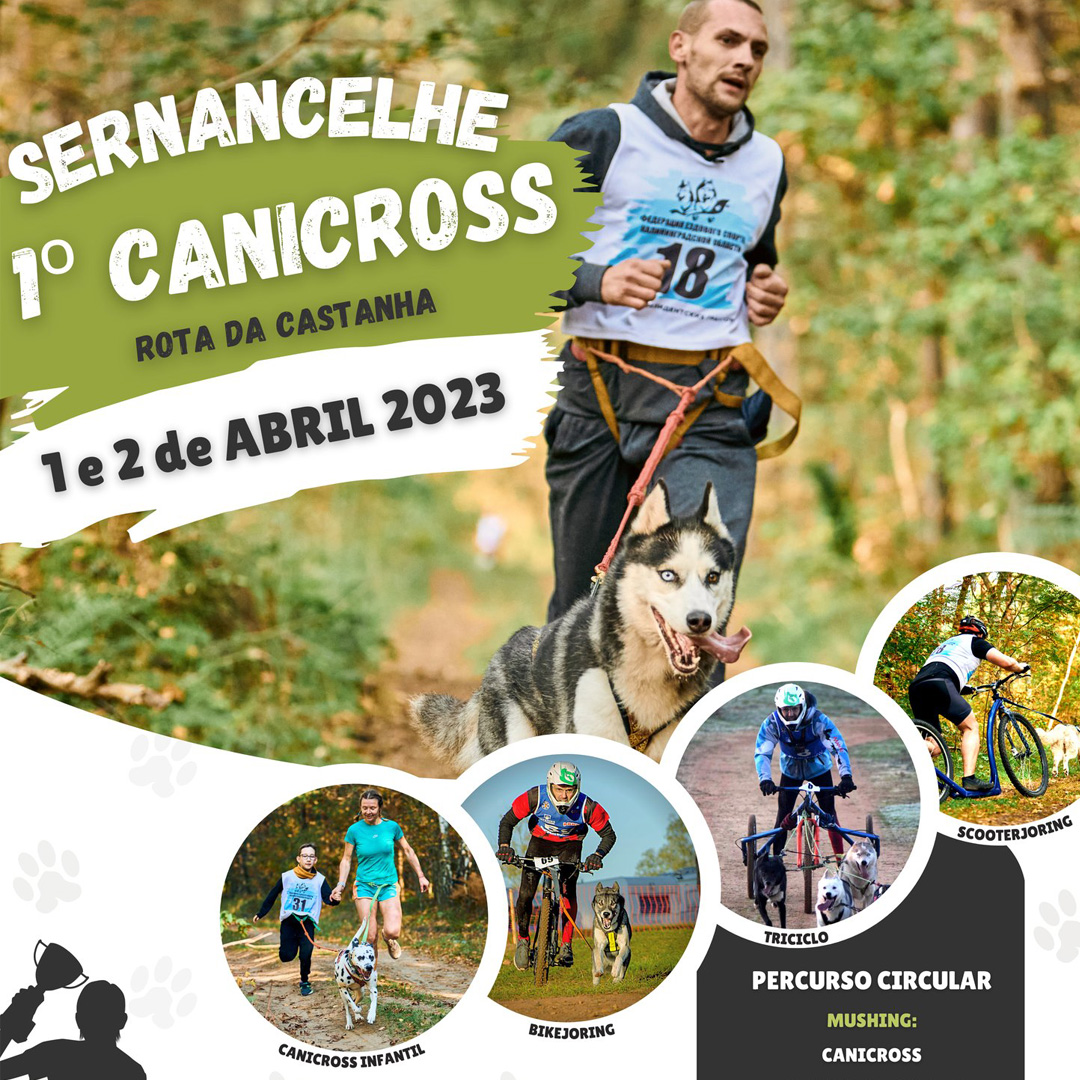 1.º Canicross Rota da Castanha – dogs-ptmagazine