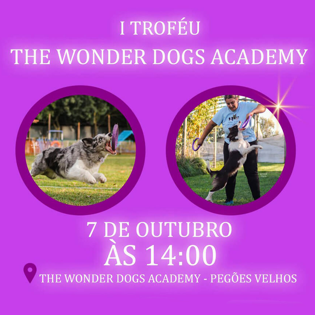Dog Puller | Troféu The Wonder Dogs Academy – dogs-ptmagazine