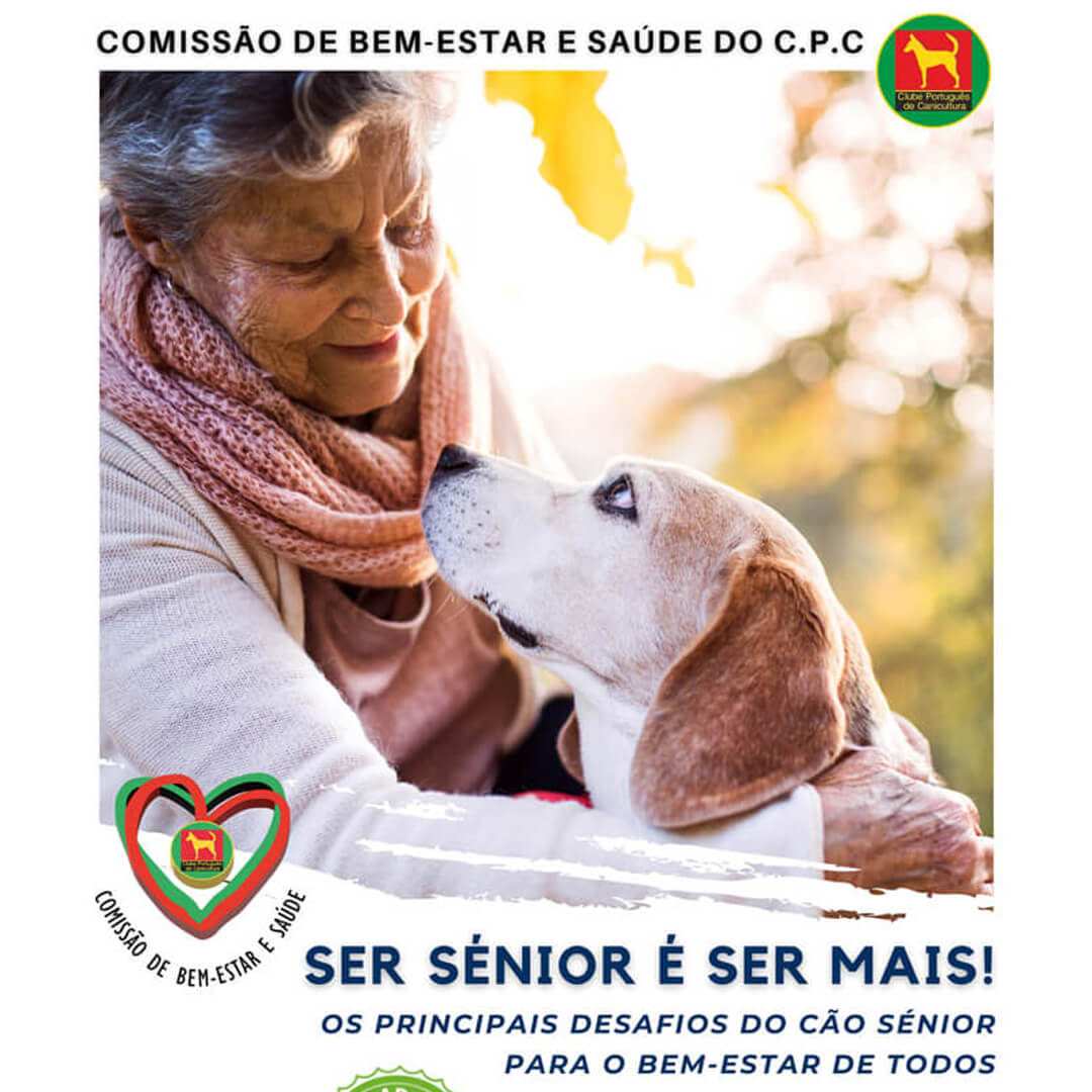 Assista esta sexta ao Webinar “Ser sénior é ser mais!” – dogs-ptmagazine