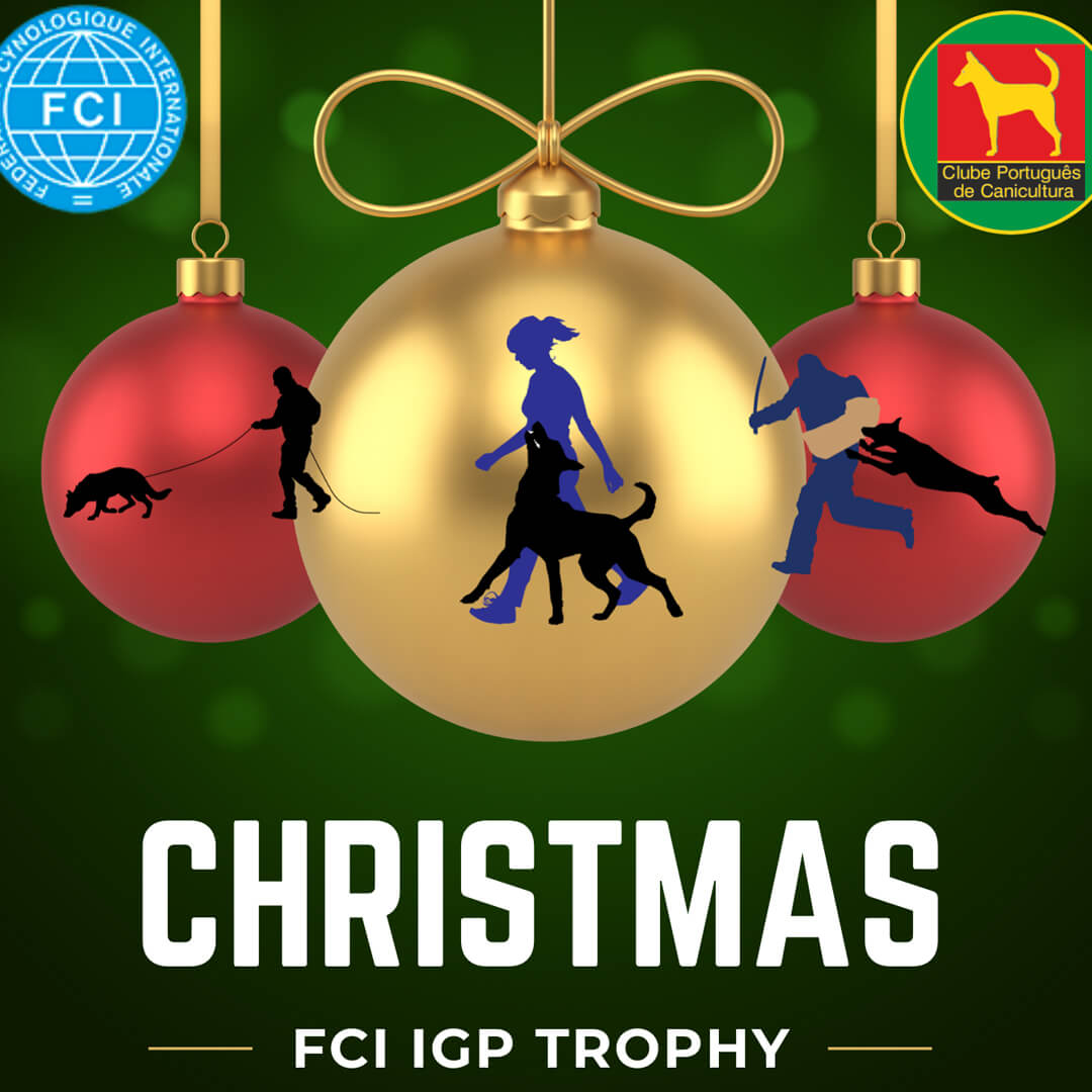 Christmas FCI IGP Trophy – dogs-ptmagazine