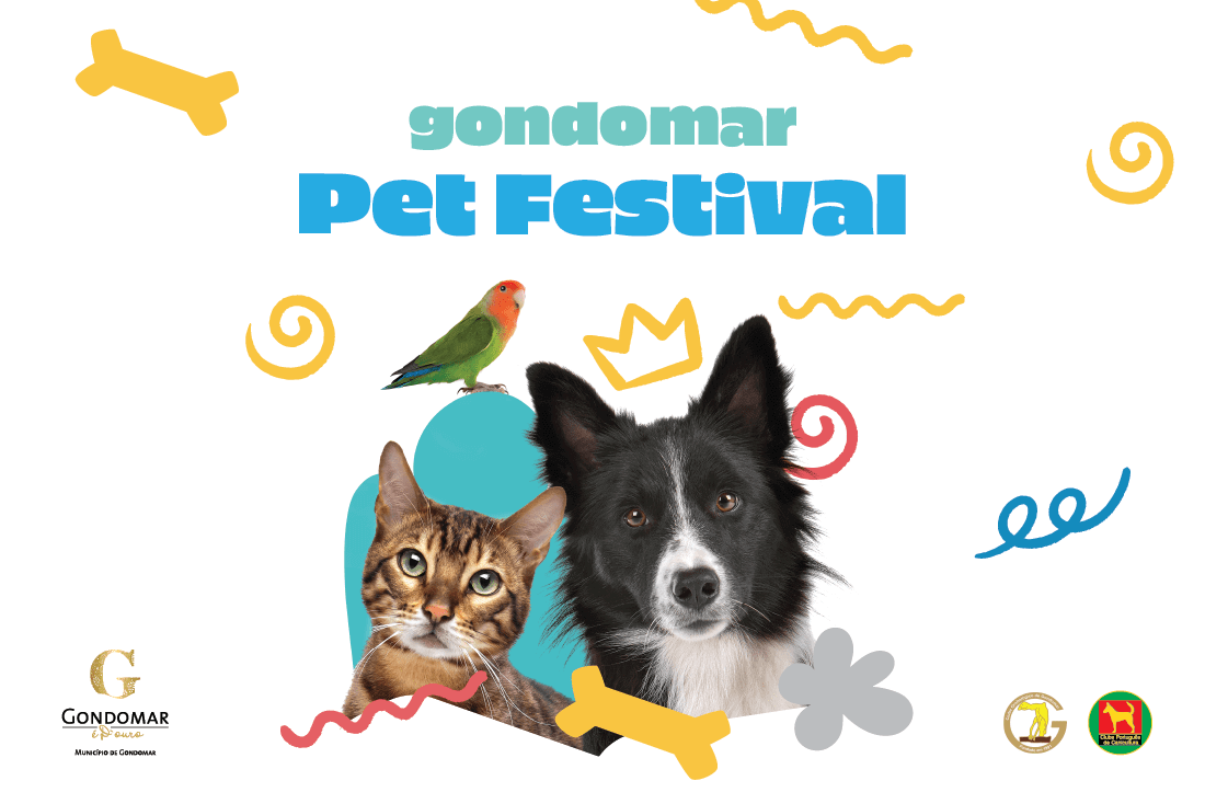 Gondomar promove primeiro festival dedicado ao mundo animal – dogs ...