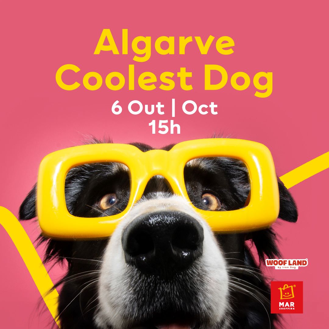 MAR Shopping Algarve acolhe a 2.ª edição do Algarve Coolest Dog – dogs ...