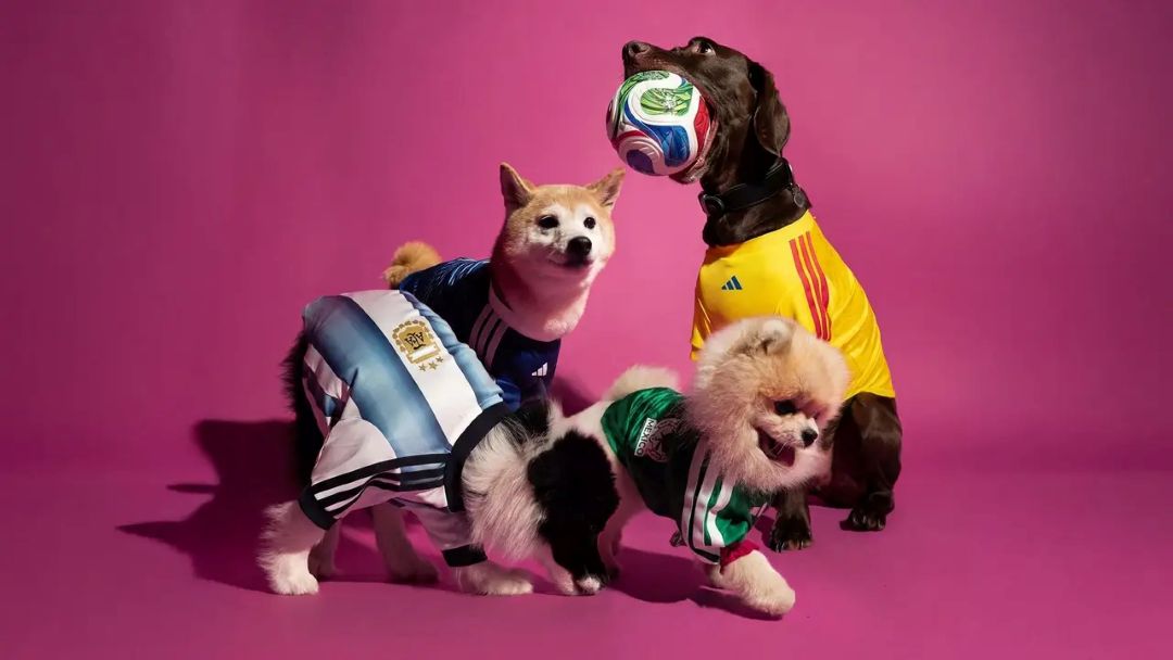 Adidas lança camisolas do Mundial 2026 para cães – dogs-ptmagazine
